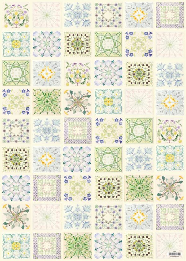 Gallery – the Fitzwilliam albums – Clarence Bicknell