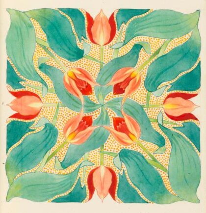 Gallery – the Fitzwilliam albums – Clarence Bicknell