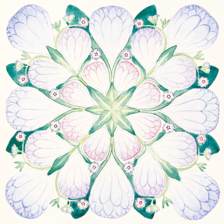 Gallery – the Fitzwilliam albums – Clarence Bicknell