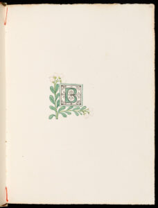 Gallery – the Fitzwilliam albums – Clarence Bicknell