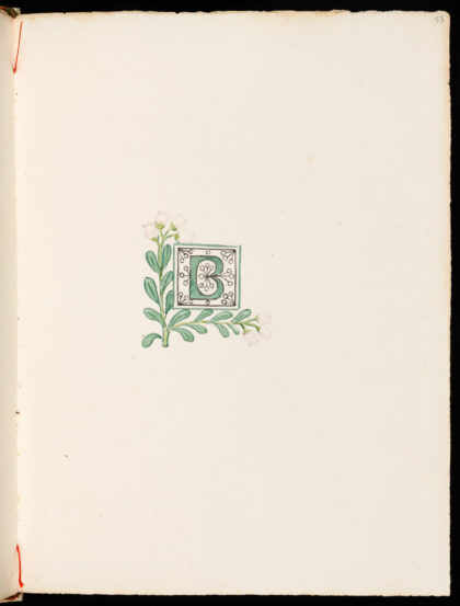 Gallery – the Fitzwilliam albums – Clarence Bicknell