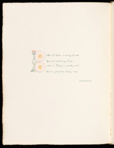 Gallery – the Fitzwilliam albums – Clarence Bicknell