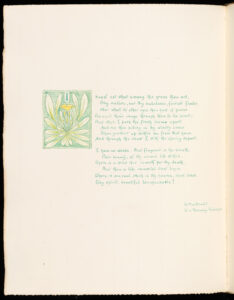 Gallery – the Fitzwilliam albums – Clarence Bicknell