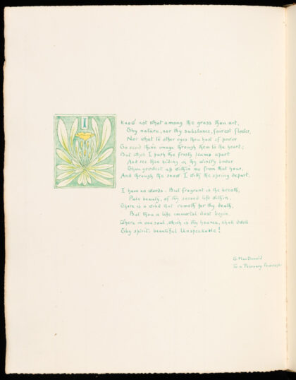 Gallery – the Fitzwilliam albums – Clarence Bicknell