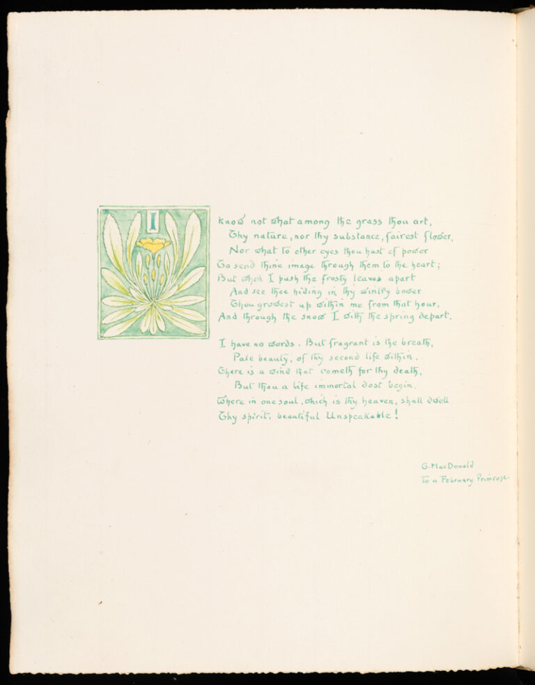 Gallery – the Fitzwilliam albums – Clarence Bicknell