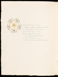 Gallery – the Fitzwilliam albums – Clarence Bicknell