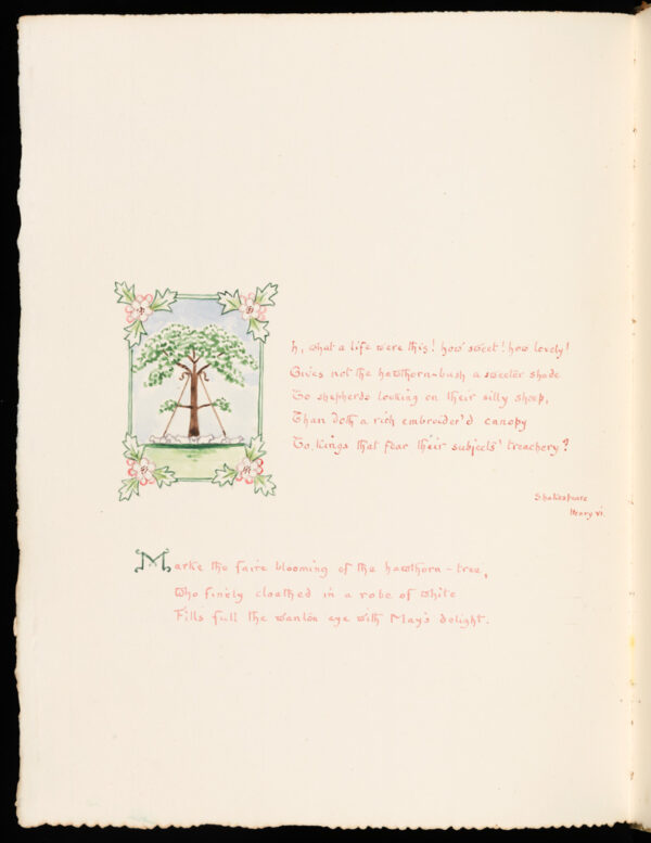 Gallery – the Fitzwilliam albums – Clarence Bicknell