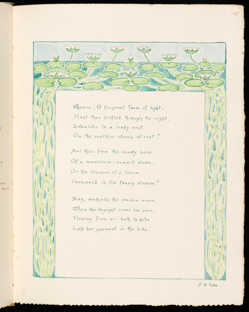 Gallery – the Fitzwilliam albums – Clarence Bicknell