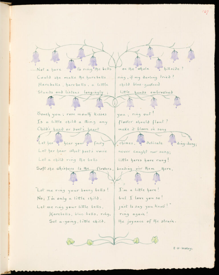 Gallery – the Fitzwilliam albums – Clarence Bicknell