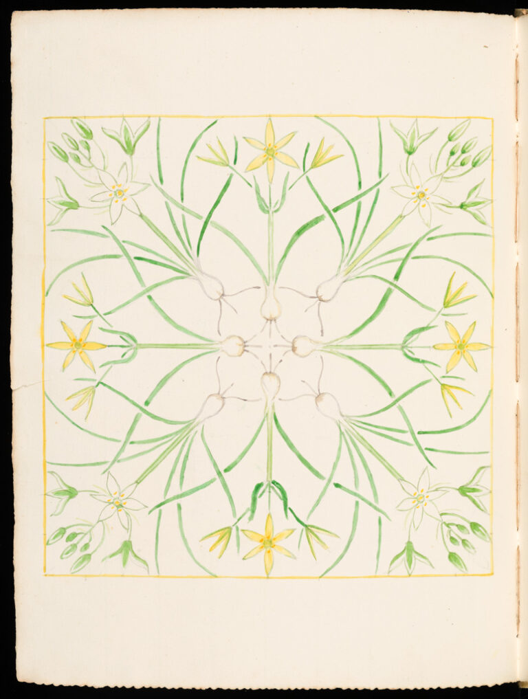 Gallery – the Fitzwilliam albums – Clarence Bicknell