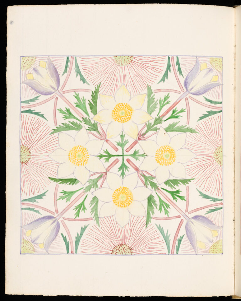 Gallery – the Fitzwilliam albums – Clarence Bicknell