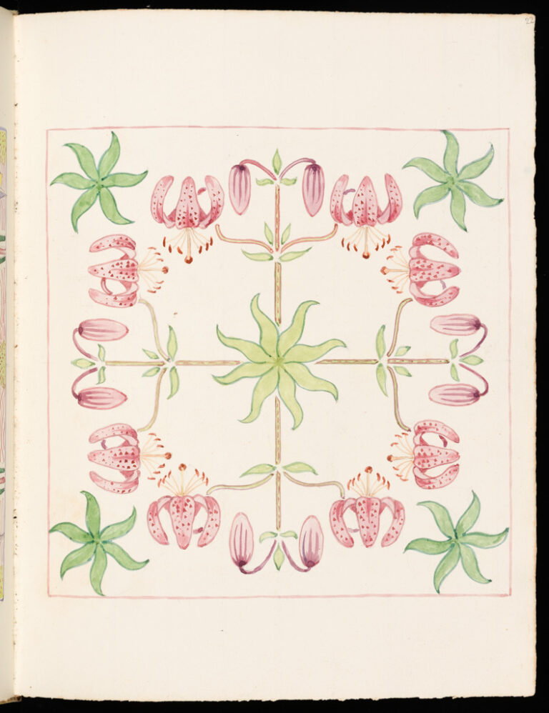 Gallery – the Fitzwilliam albums – Clarence Bicknell