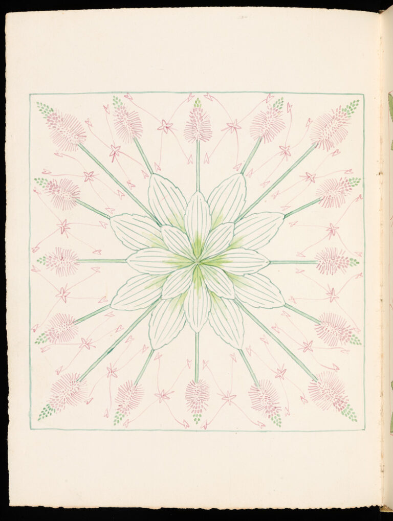 Gallery – the Fitzwilliam albums – Clarence Bicknell